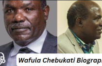 Laconco Biography: Age, Child, New Body, Husband, Real Name | BiographyBaze